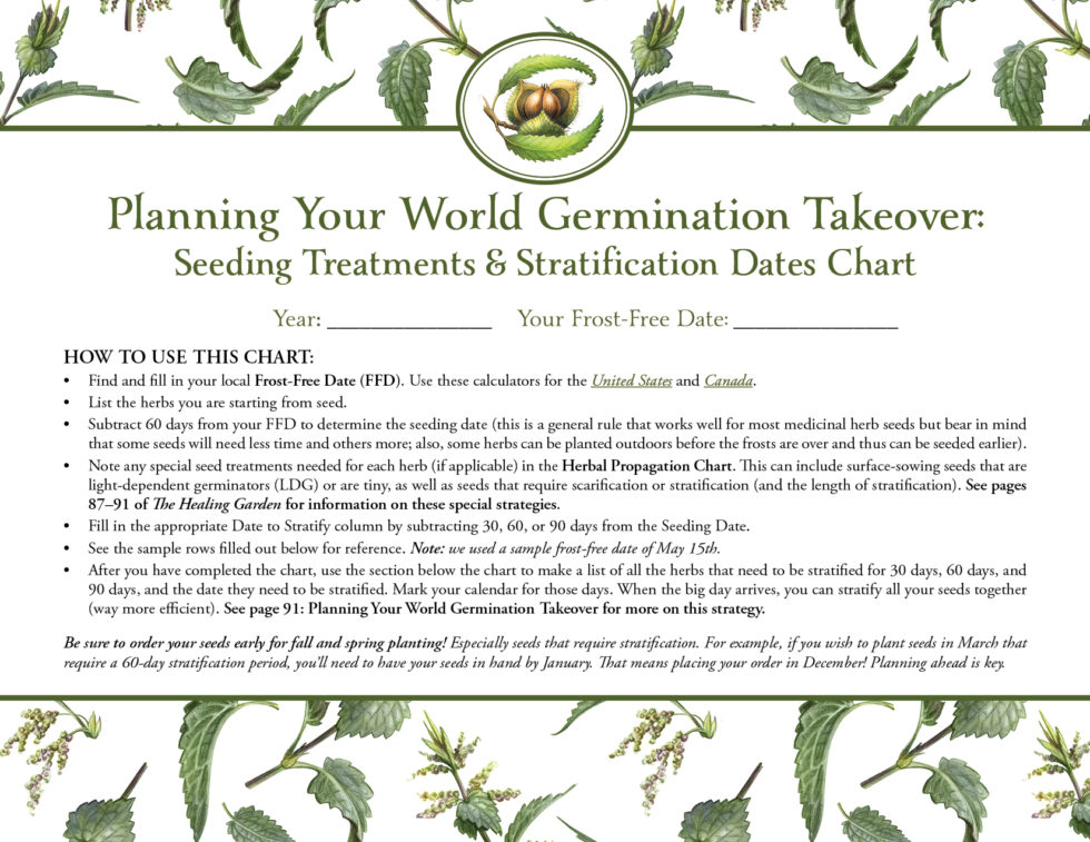 Healing Garden Gateway - Healing Garden Gateway