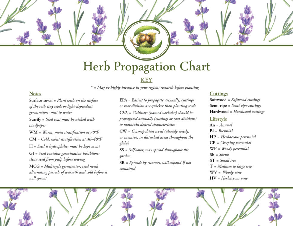 Healing Garden Gateway - Healing Garden Gateway